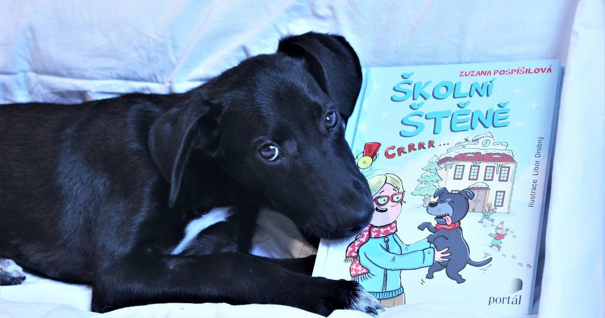 Stafík je štěně a paní ředitelka ho má…ve škole! - Nakladatelství Portál